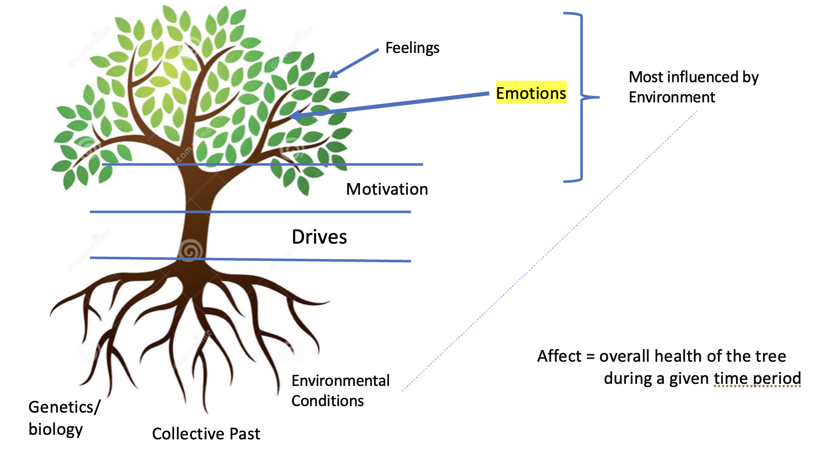 Understanding Emotions and Their Role in Our Lives: A Deep Dive into ...