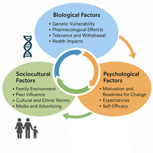 Models of Addiction and Relapse: A Biopsychosocial Approach – Identity ...
